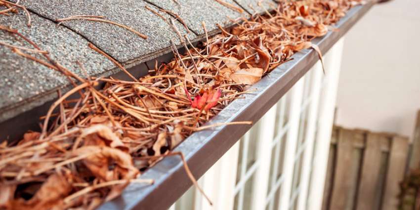 Here are the 3 most common reasons for blocked gutters